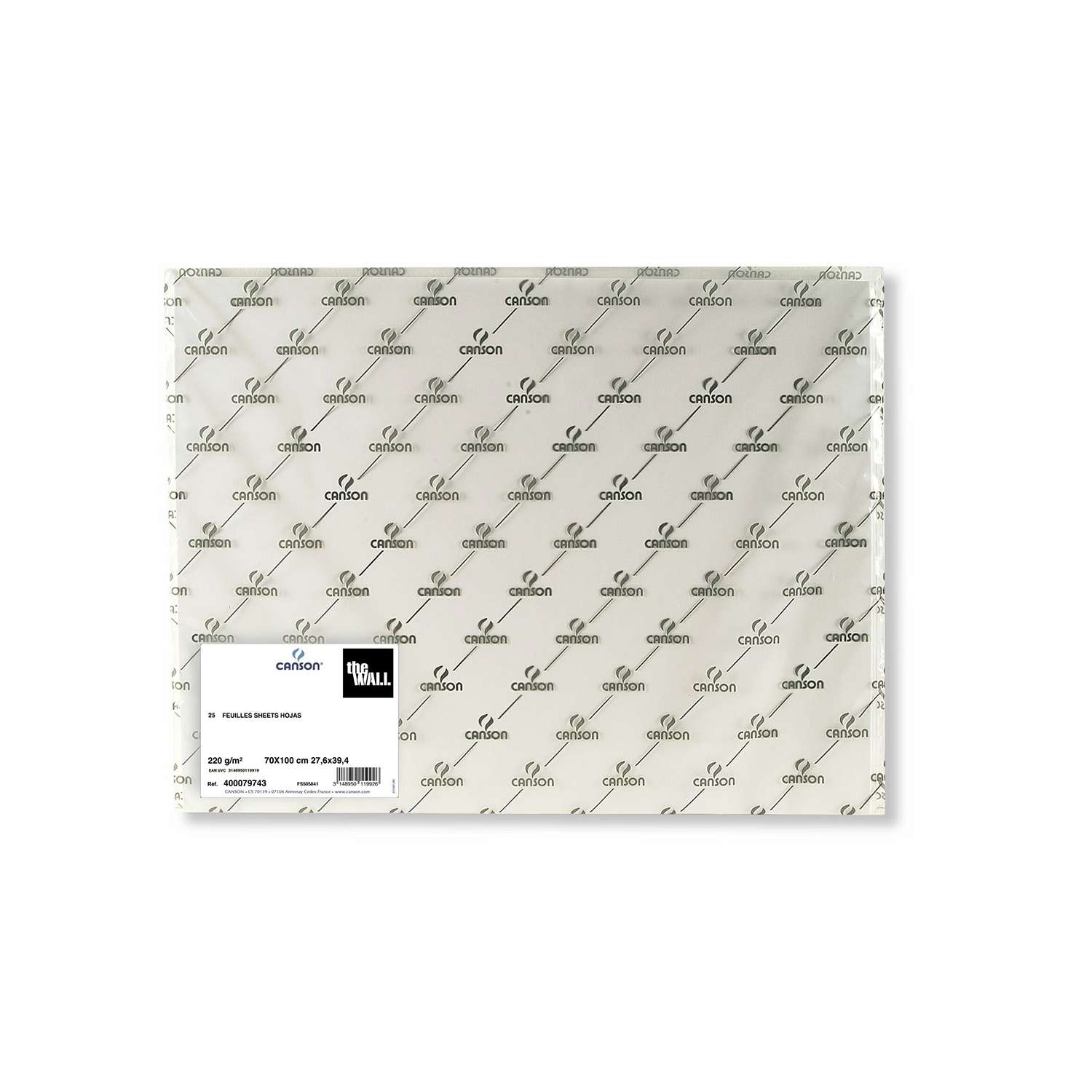 Hoja de papel Canson The Wall - 220 g/m² | El Mundo de los Artistas